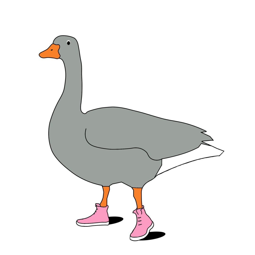 BEST ANDY FINAL EDIT 006 – ANDY THE GOOSE